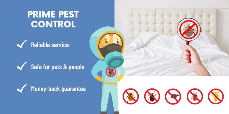 Prime Pest Control | Get Rid of Your Pests Fast in the GTA