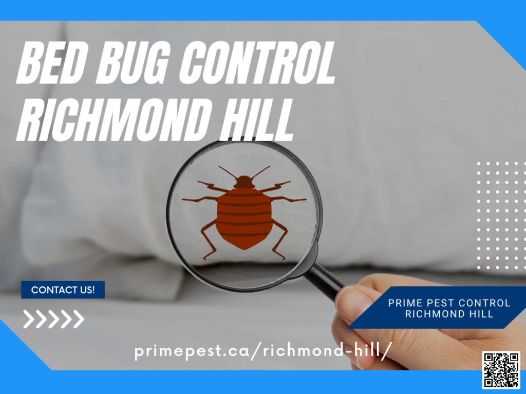 Pest Removal Services In Richmond, ON | Prime Pest Control