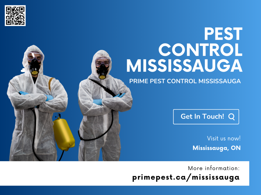 Pest Control Services in Mississauga | Prime Pest Control