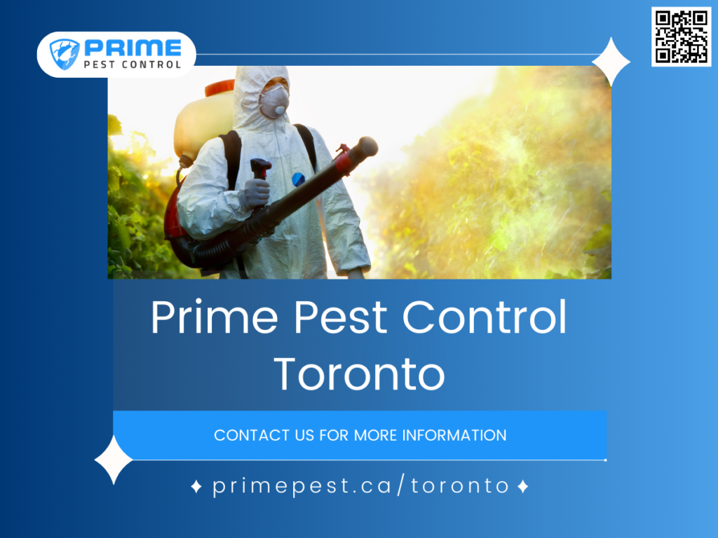 Pest Removal Services in Toronto, ON| Prime Pest Control